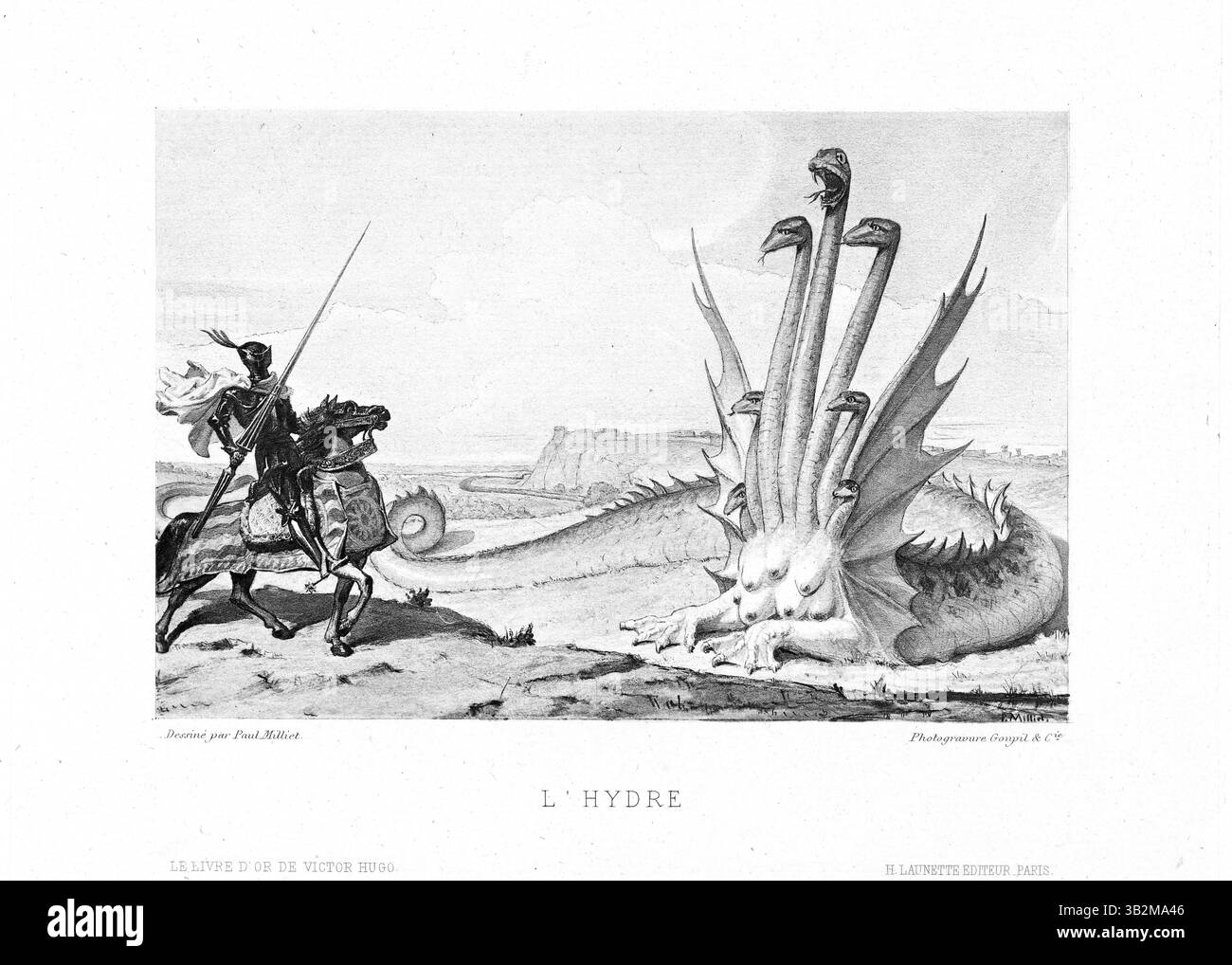 Golden hydra Black and White Stock Photos & Images - Alamy