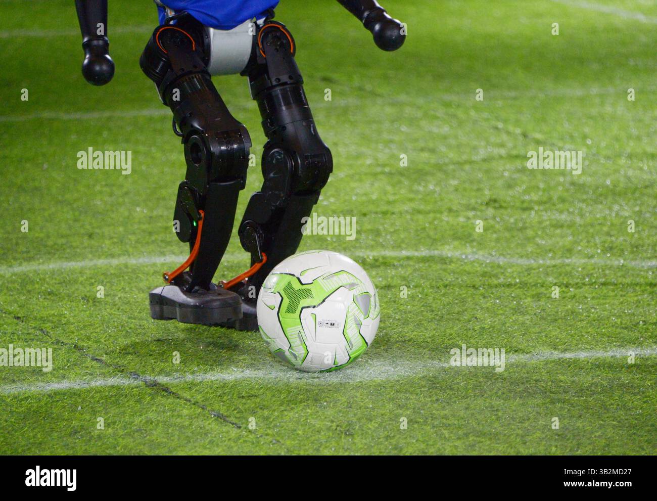 The 2025 China Humanoid Robot Ecosystem Conference opens in Shanghai ...