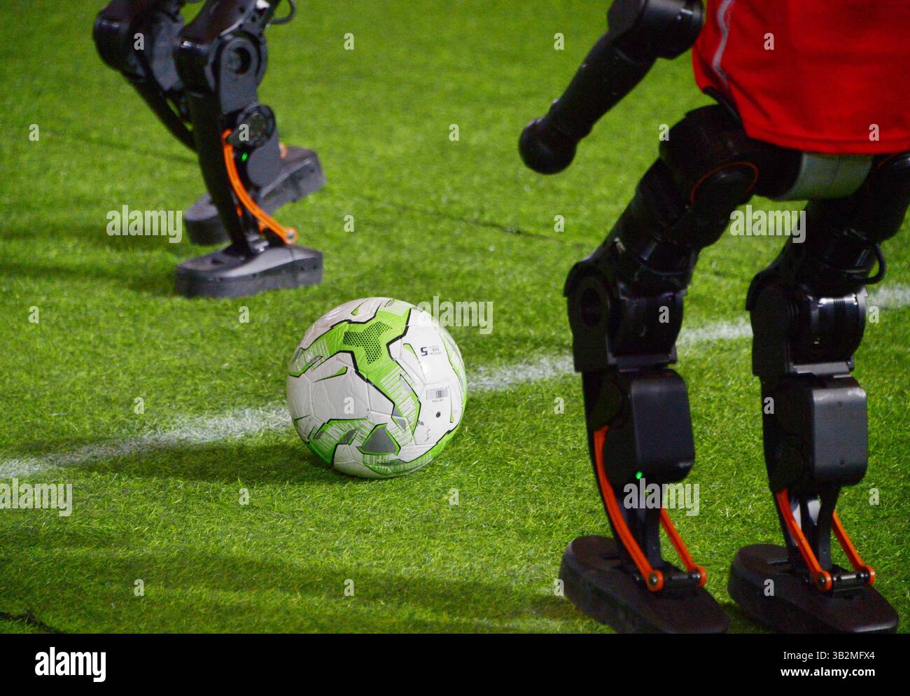 The 2025 China Humanoid Robot Ecosystem Conference opens in Shanghai ...