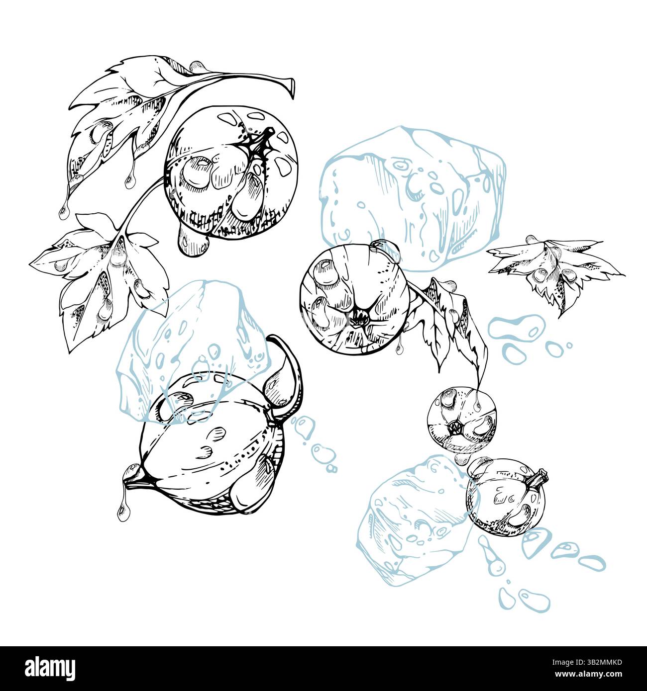 Currant gooseberry flying in water splash green leaves, ice cubes, dew ...