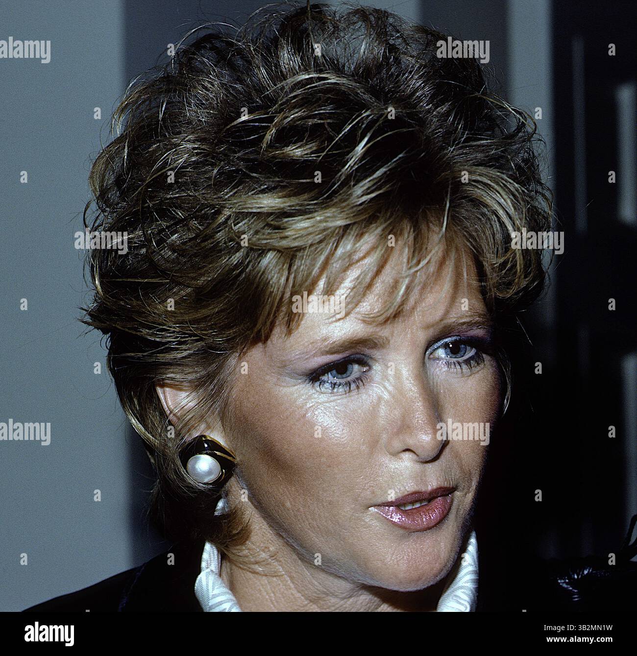 Susan howard hi-res stock photography and images - Alamy