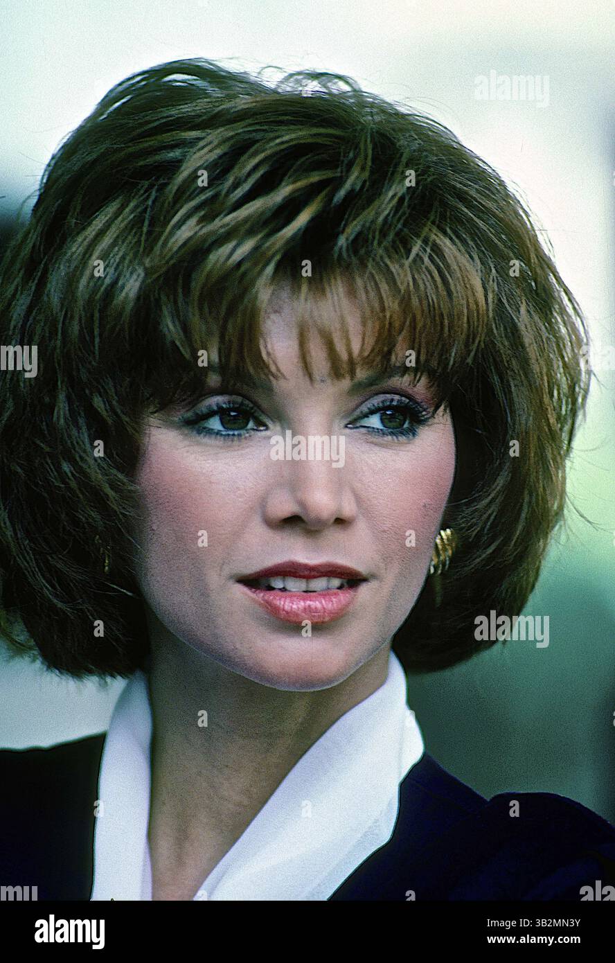 Dallas tv victoria principal hi-res stock photography and images - Alamy