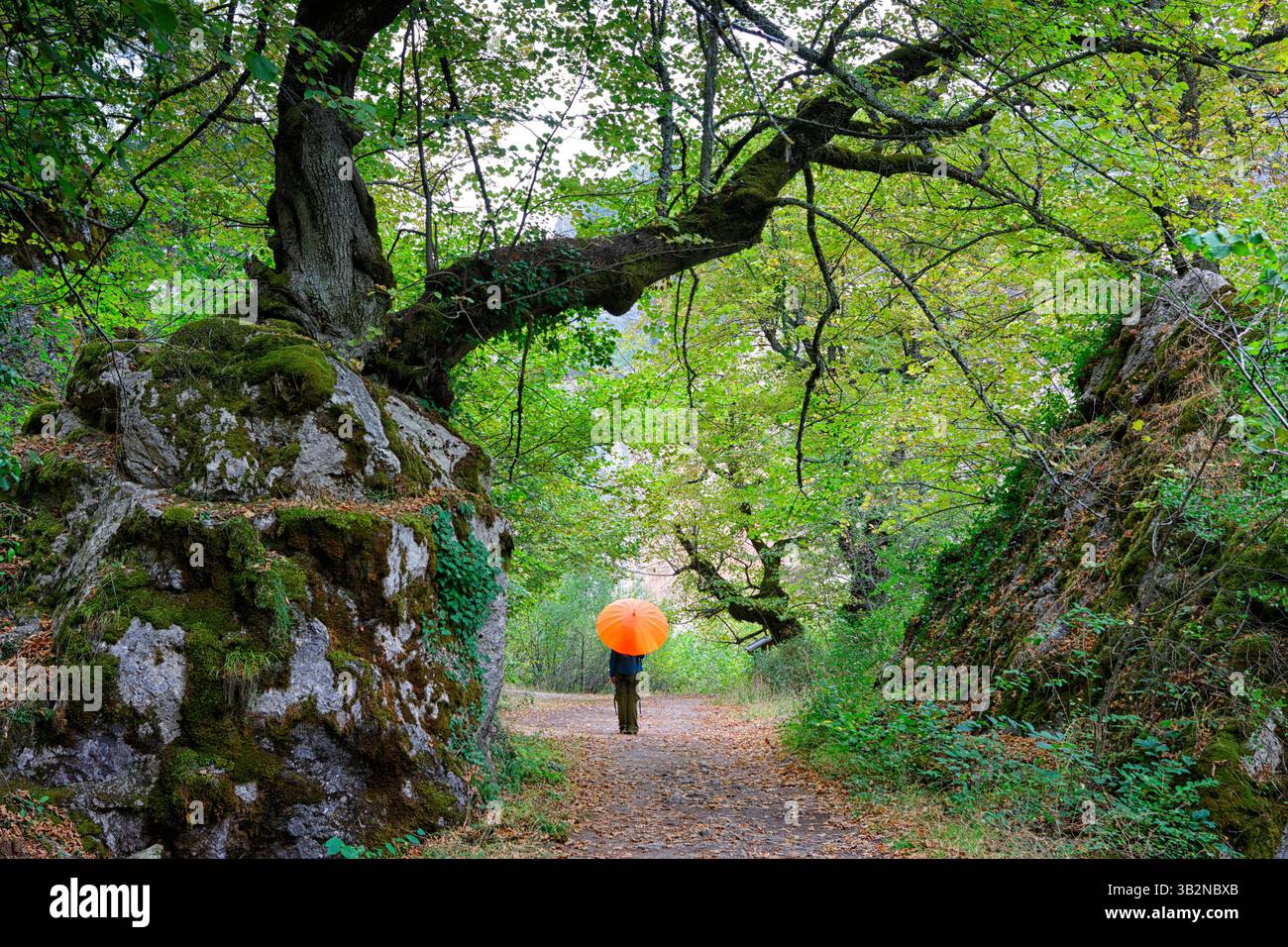 Beteta cuenca hi-res stock photography and images - Alamy