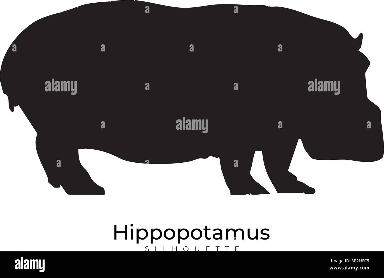 Hippo body outline hi-res stock photography and images - Alamy