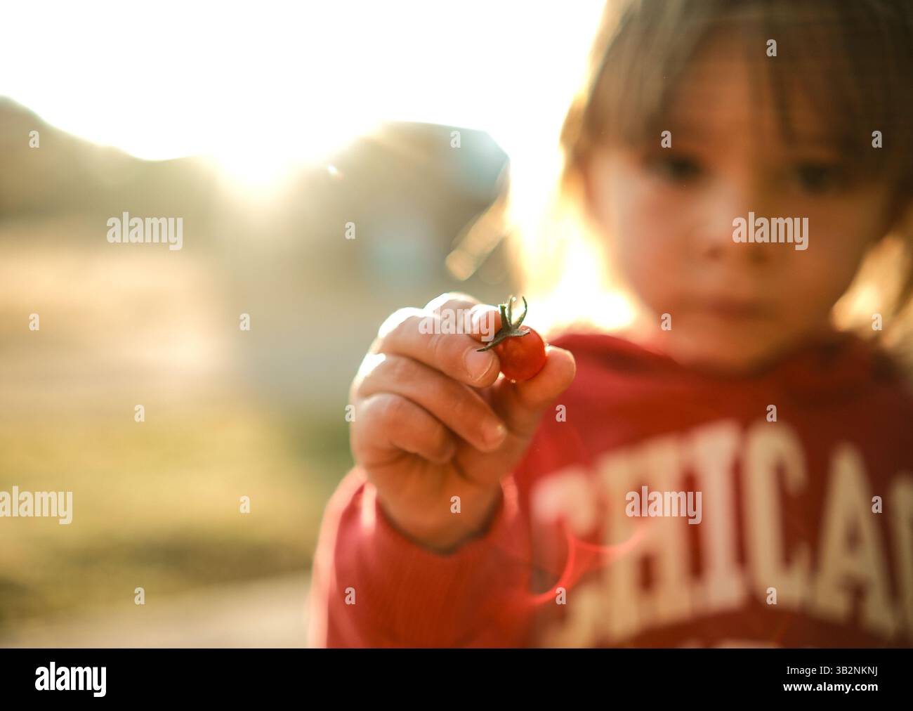 Soft focus urban gardening and farming hi-res stock photography and images - Alamy