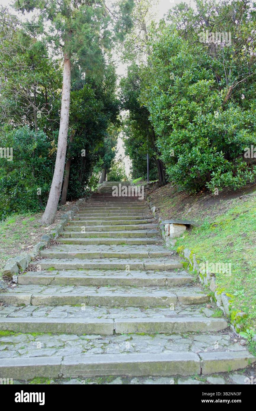 Pathway leading up hill hi-res stock photography and images - Alamy