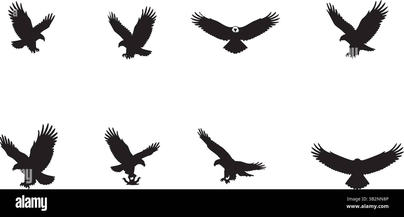 Soar and swoop Stock Vector Images - Alamy