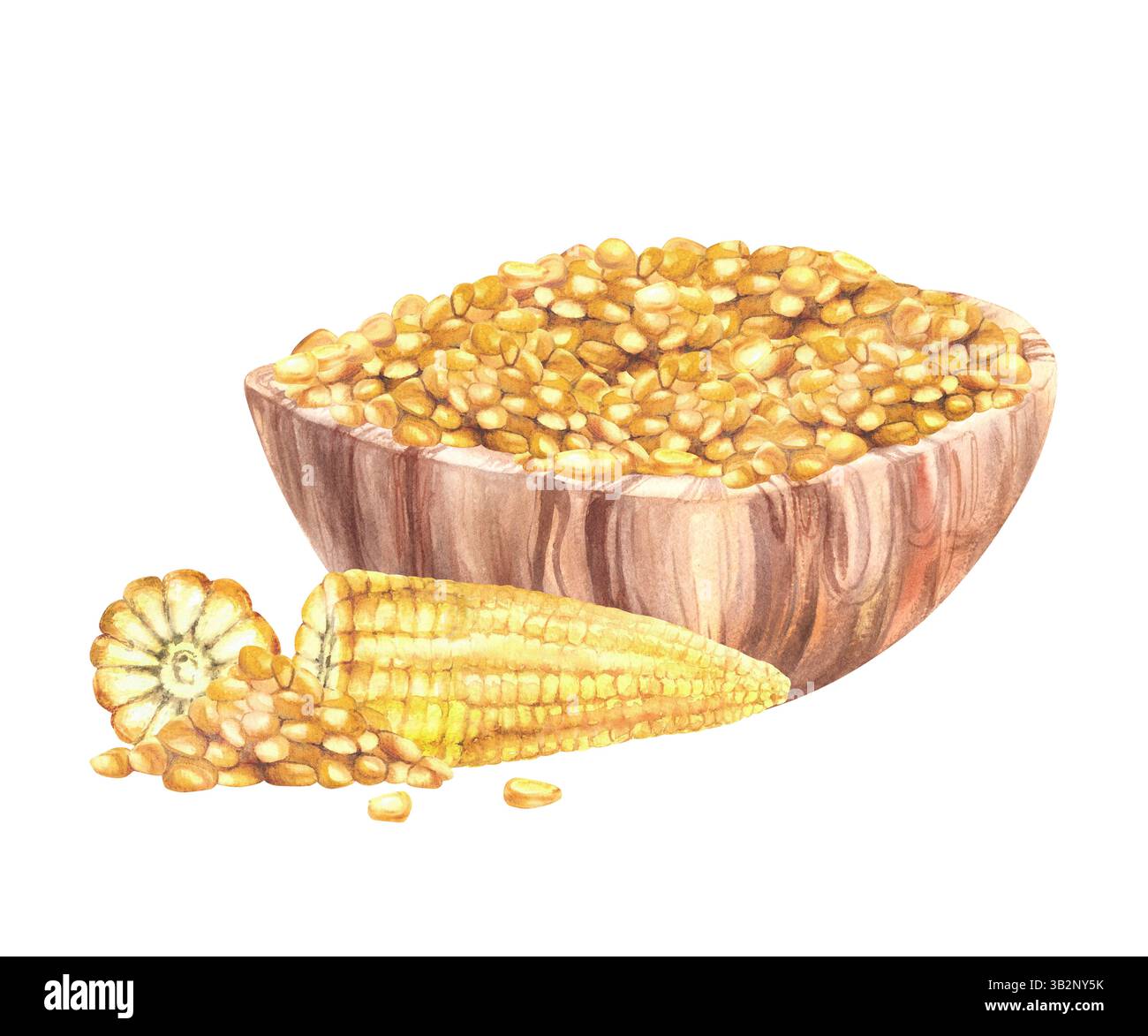 Maize kernels, whole and cut corncobs with Bowl sweet corn. Wooden ...