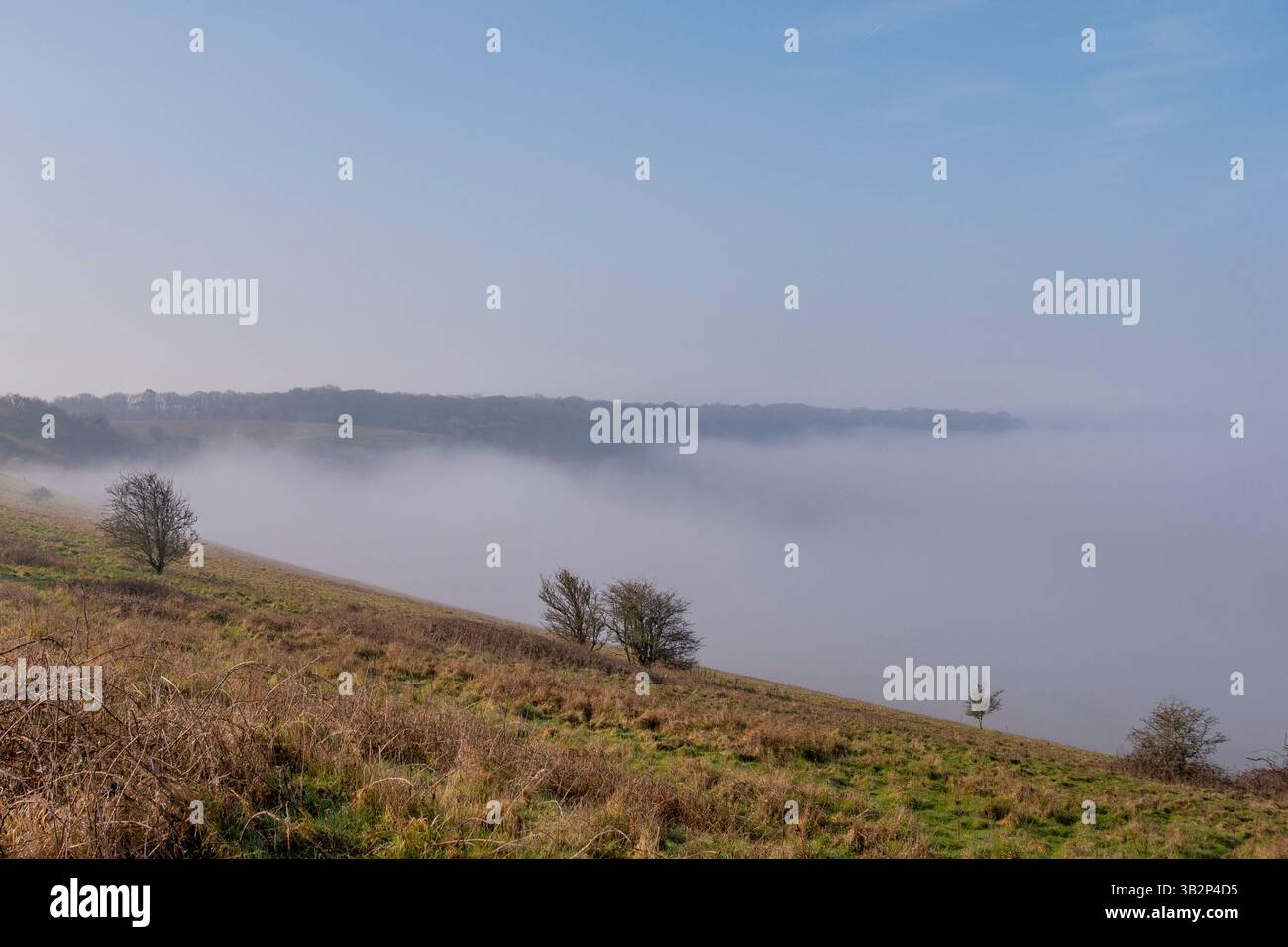 Mist / cloud inversion pictured in the South Downs National Park at ...