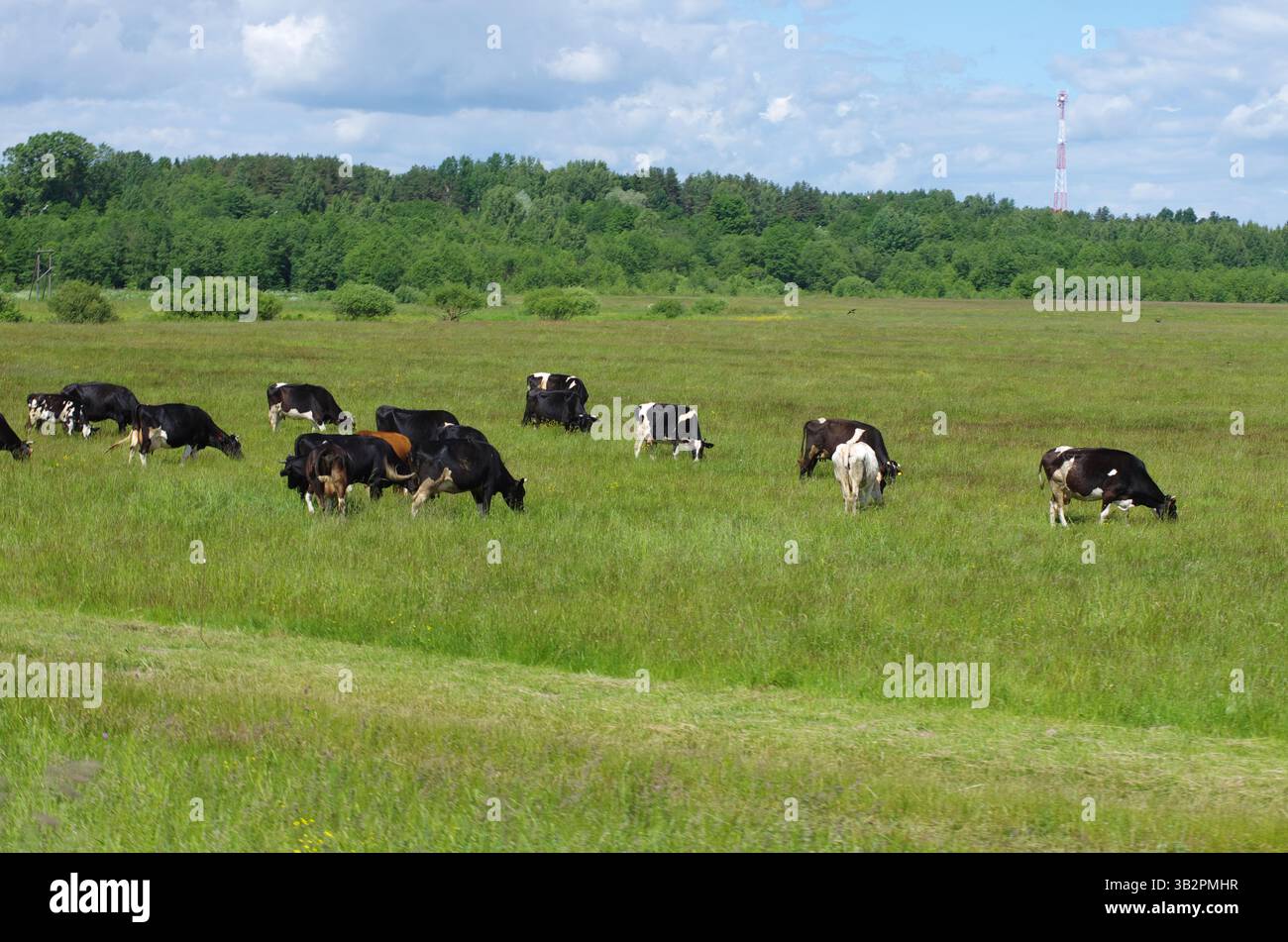 Cell tower in the distance hi-res stock photography and images - Alamy