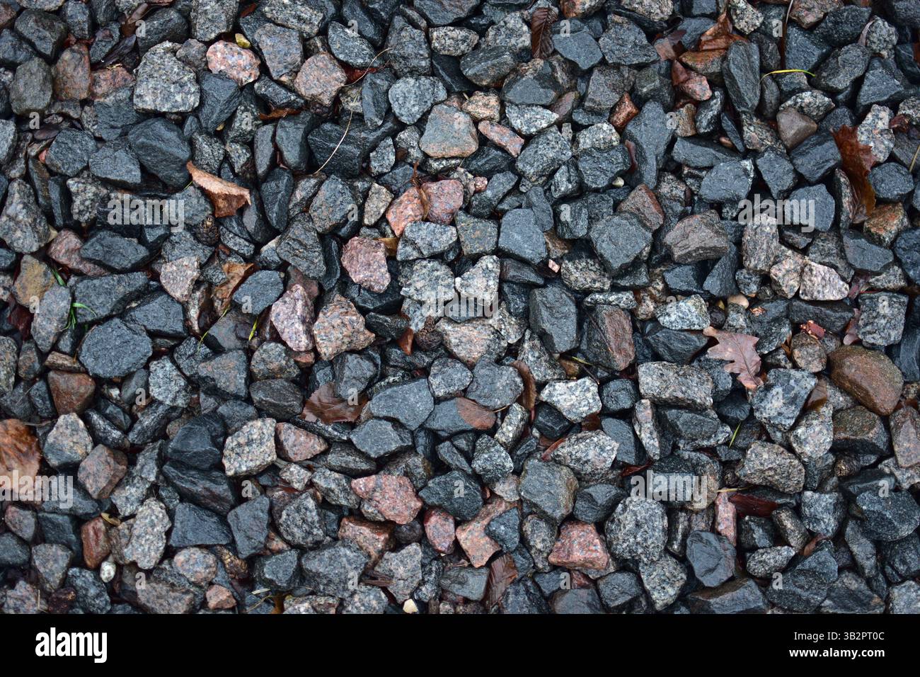 Small rocks pattern and texture background. Tiny stones gravel ...