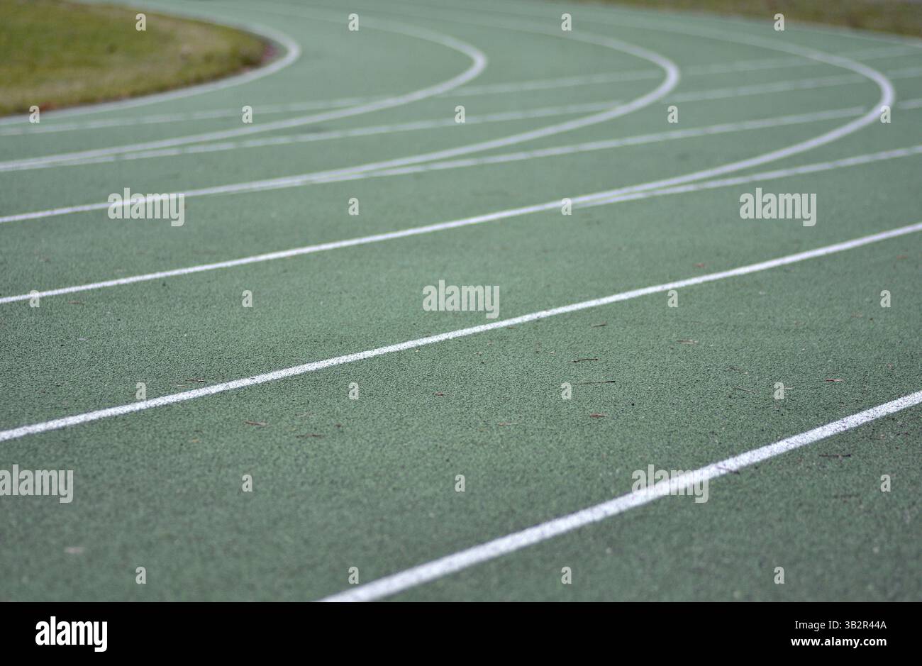 Green running track curve with white lines and green grass in the ...