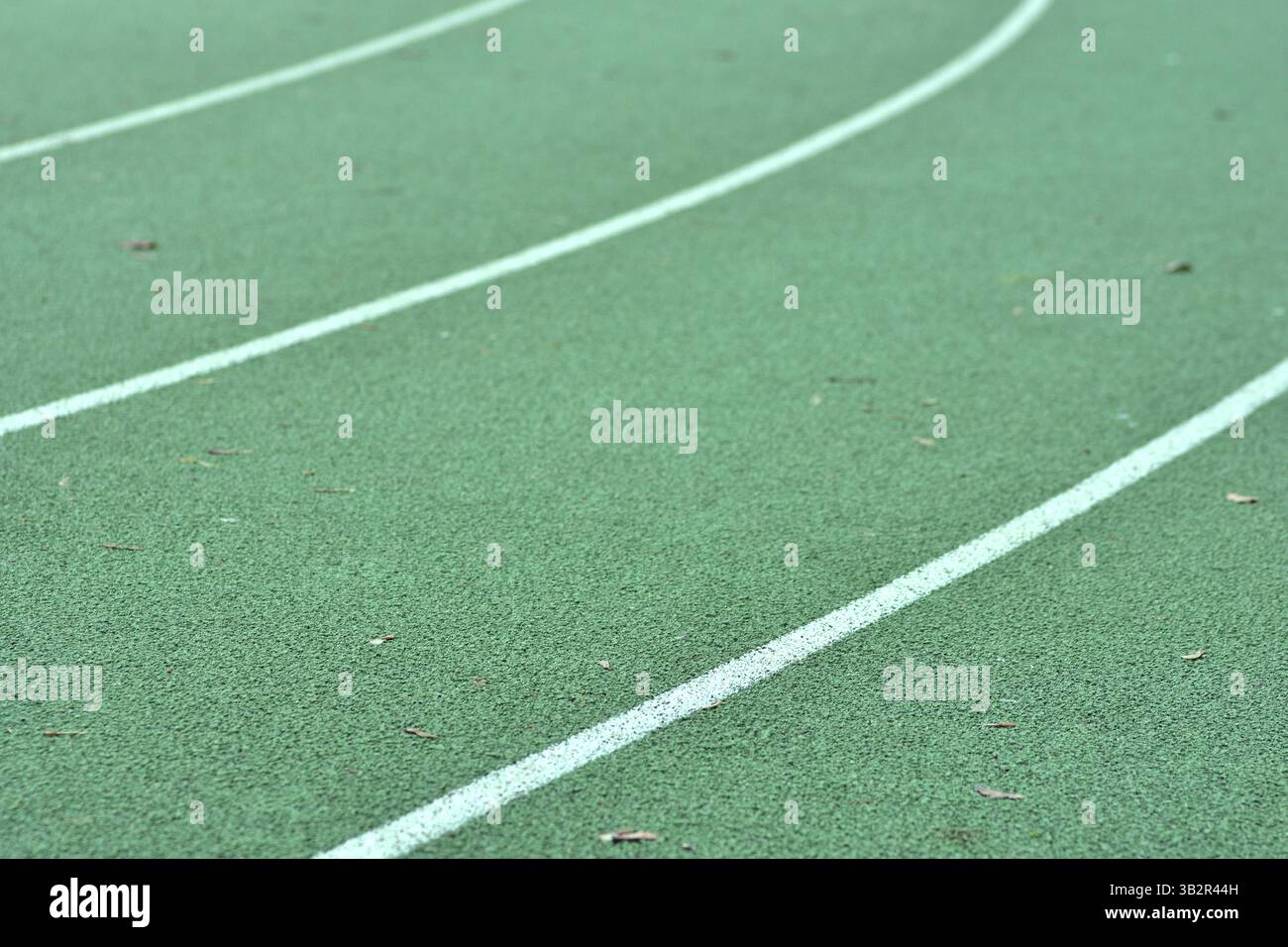 Green running track curve with white lines Stock Photo - Alamy
