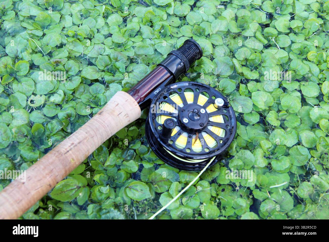 Smith coulee hi-res stock photography and images - Alamy