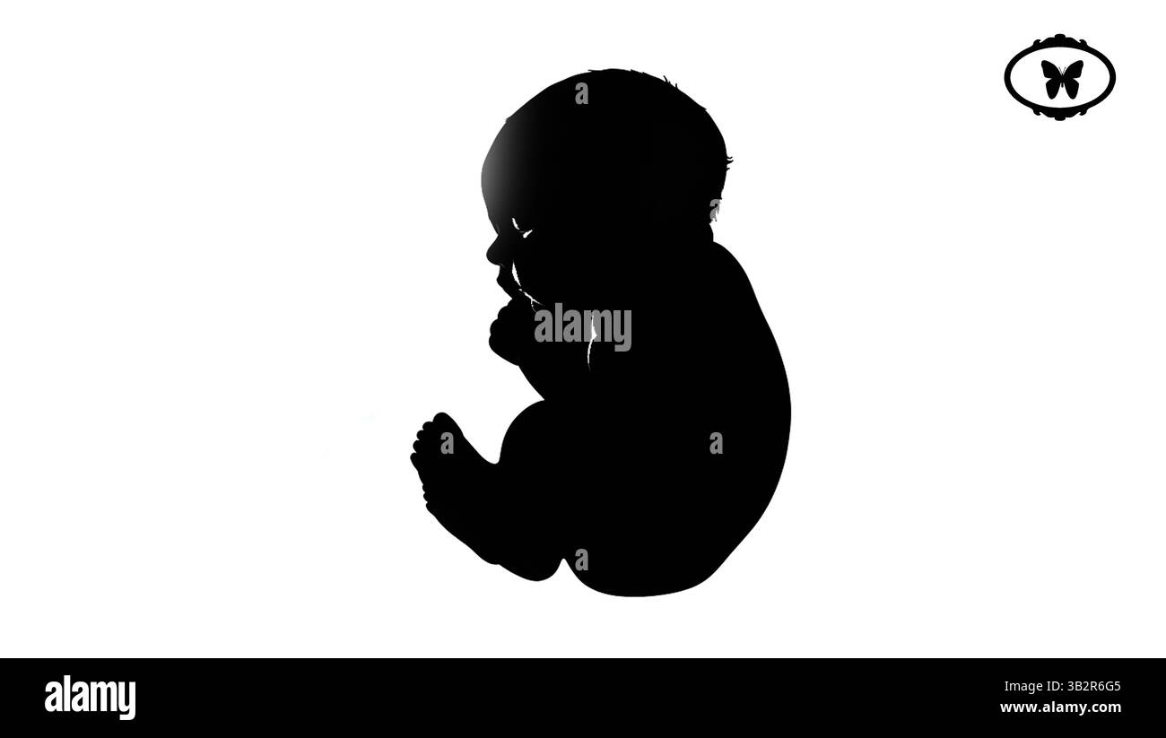 Baby ultrasound isolated icon Cut Out Stock Images & Pictures - Alamy