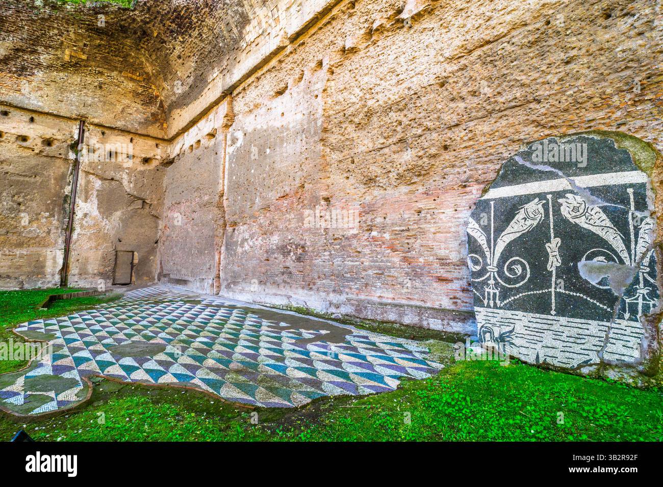 Mosaic in the western Gym (Palaestrae) of the Baths of Caracalla - Rome ...