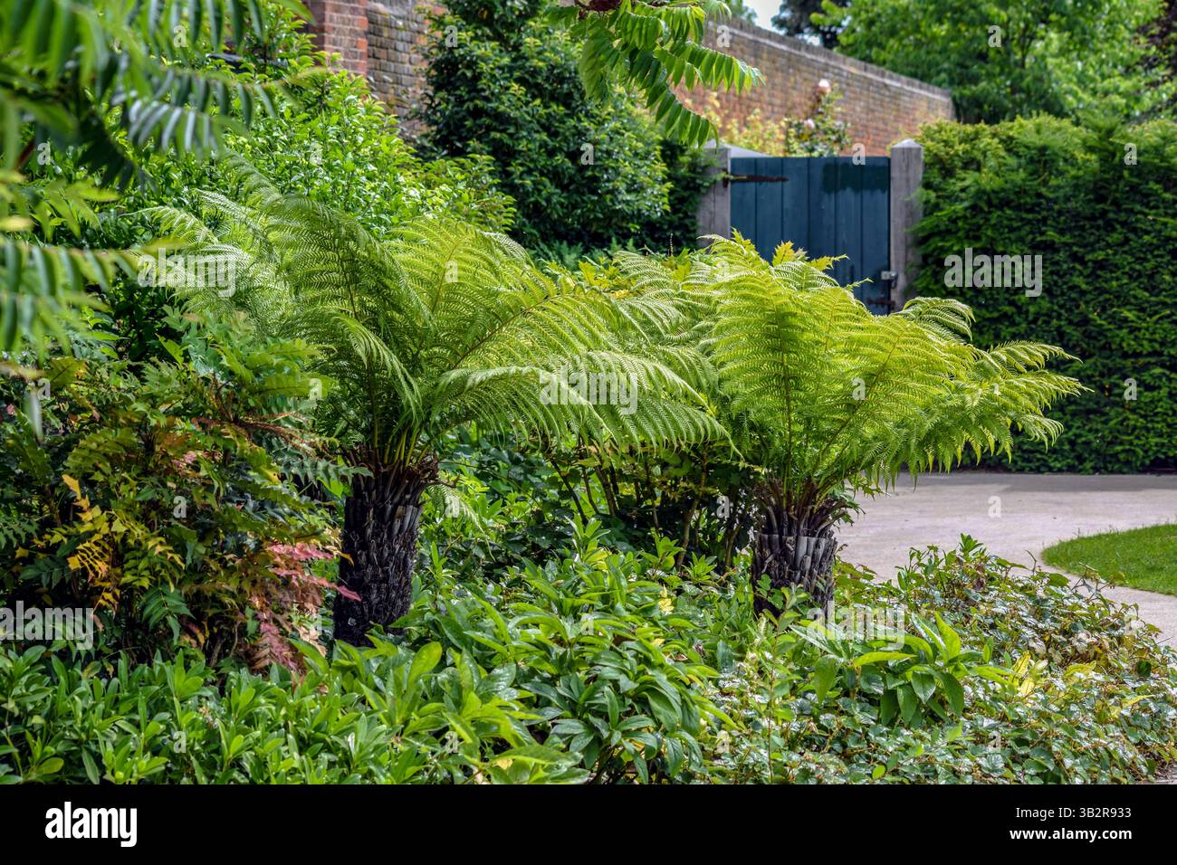 Greenery field residential park hi-res stock photography and images - Alamy