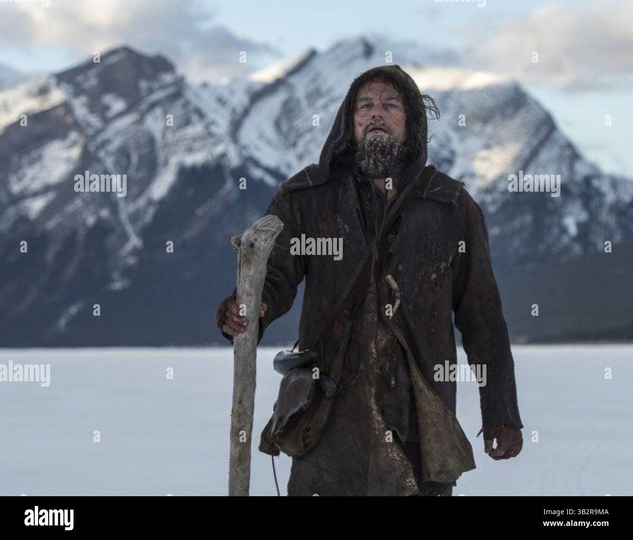 The revenant leonardo bear hi-res stock photography and images - Alamy