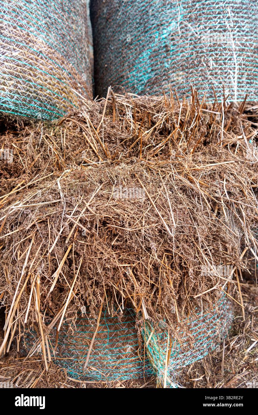 Regen farm hi-res stock photography and images - Alamy