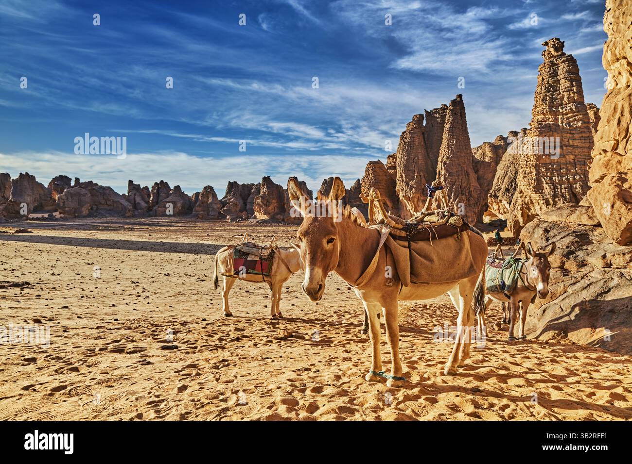 Rocks of Sahara Desert, Tassili N'Ajjer, Algeria Stock Photo - Alamy
