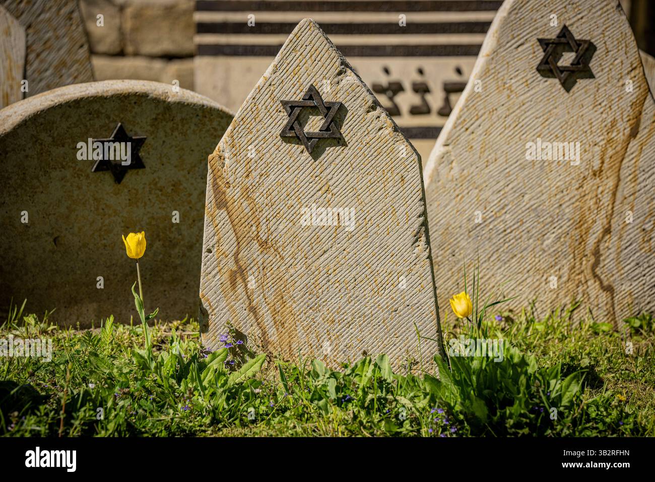 Ceska Lipa, Czech Republic. 28th Apr, 2025. Remembrance ceremony for ...