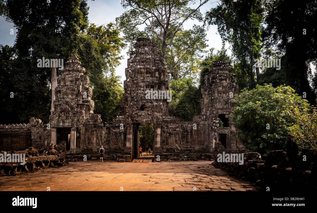 Ancient temple ruins surrounded by lush greenery, featuring intricate ...