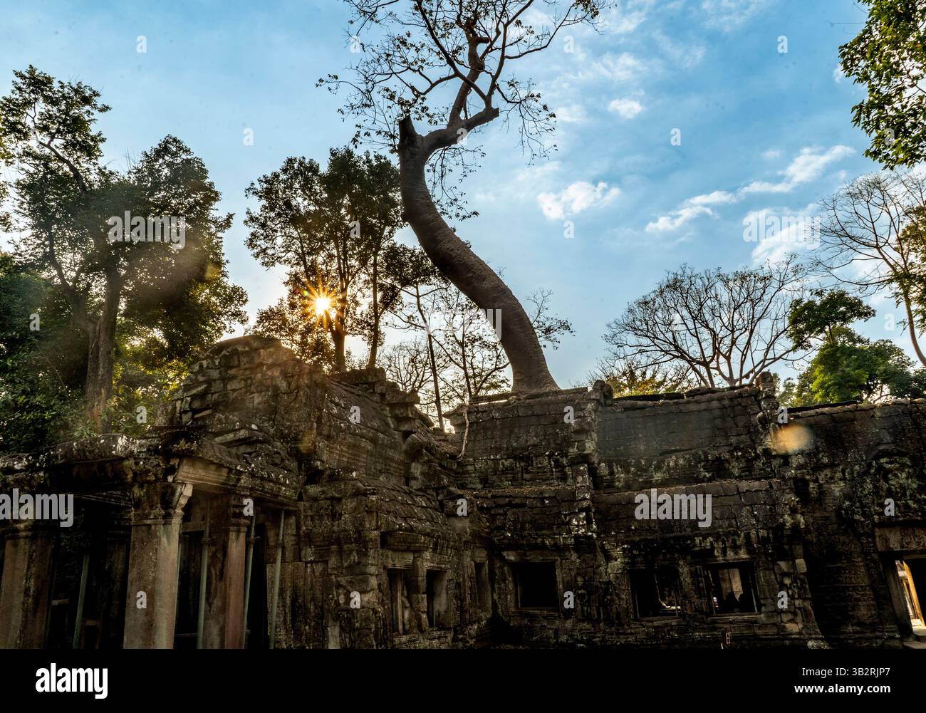 A stunning view of ancient ruins surrounded by lush greenery, with a ...
