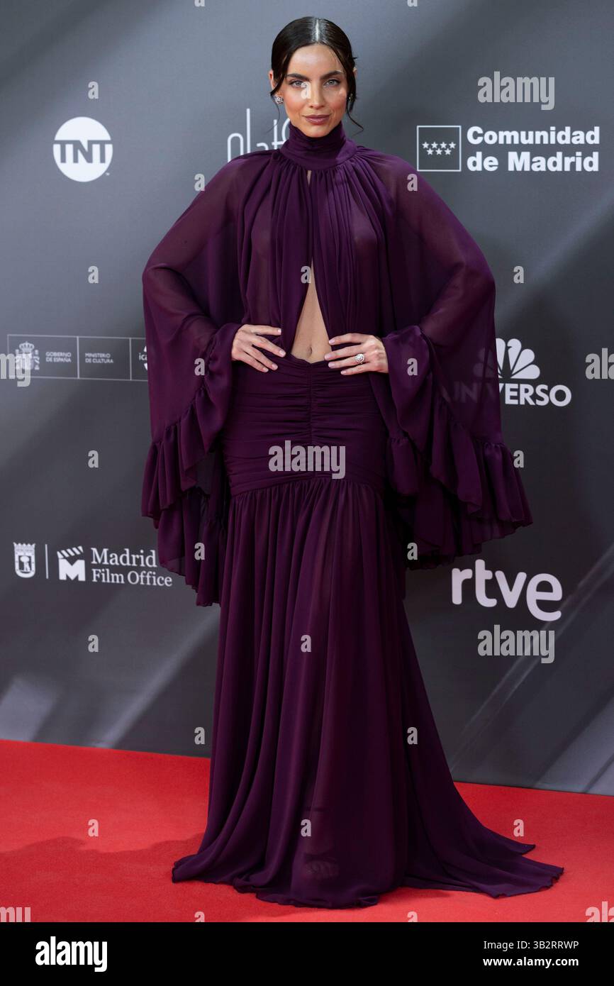 hristian Mcgaffney attended Platino Awards 2025 red carpet at Palacio ...