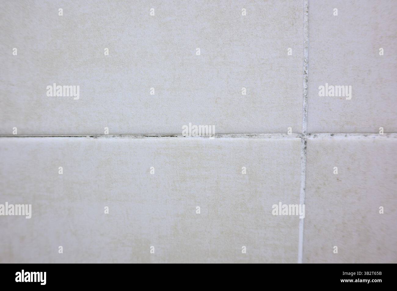 Mold on tile joints on grout between tiles in bathroom in shower cabin ...