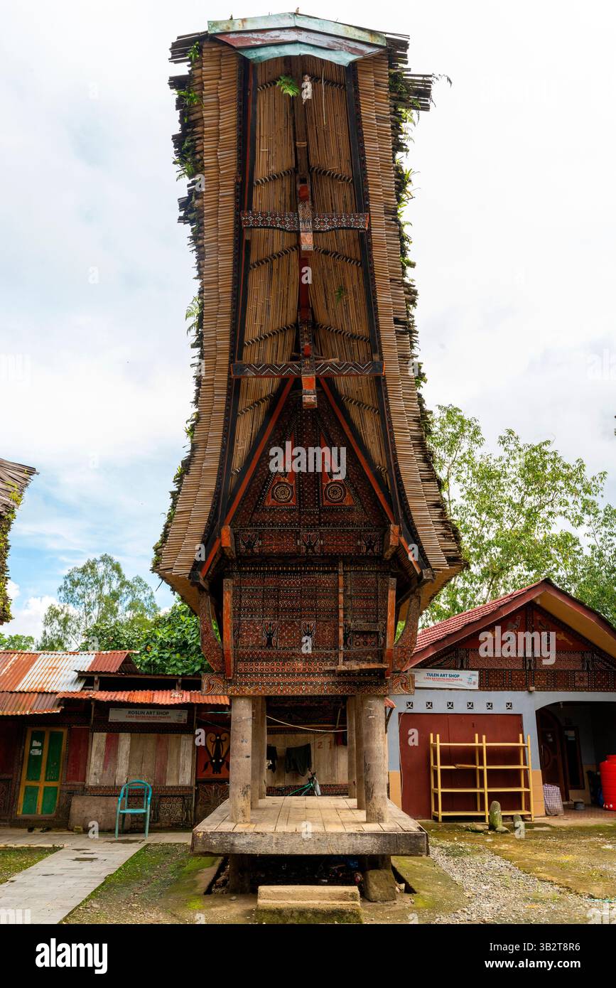 Traditional Tongkonan house with boat-shaped saddleback roof with ...
