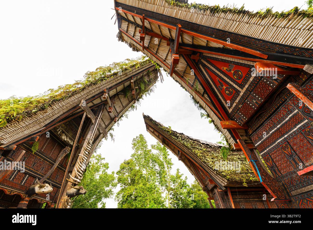 Traditional Tongkonan houses with boat-shaped saddleback roof with ...
