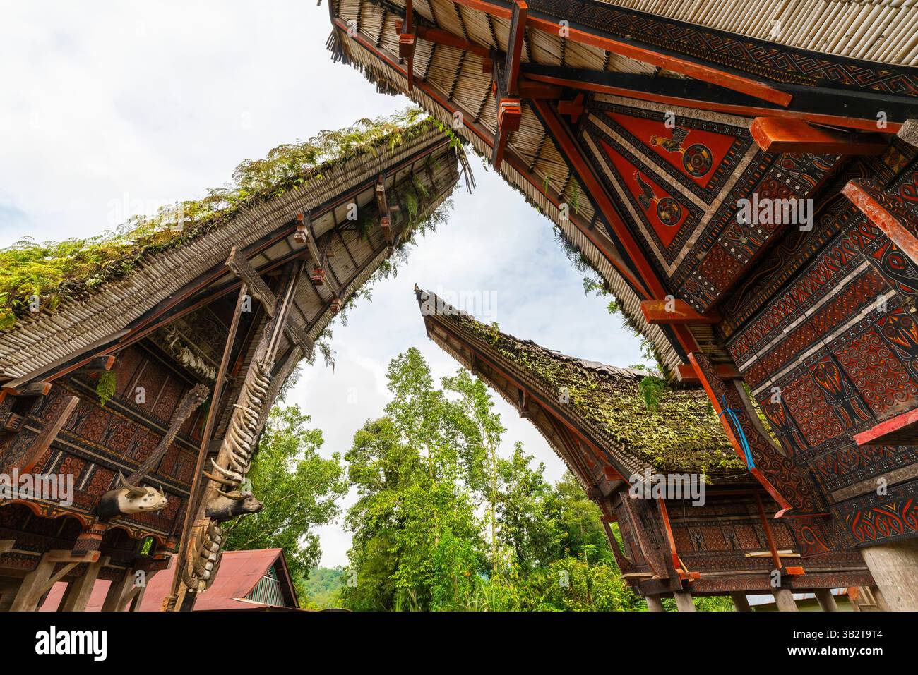 Traditional Tongkonan houses with boat-shaped saddleback roof with ...
