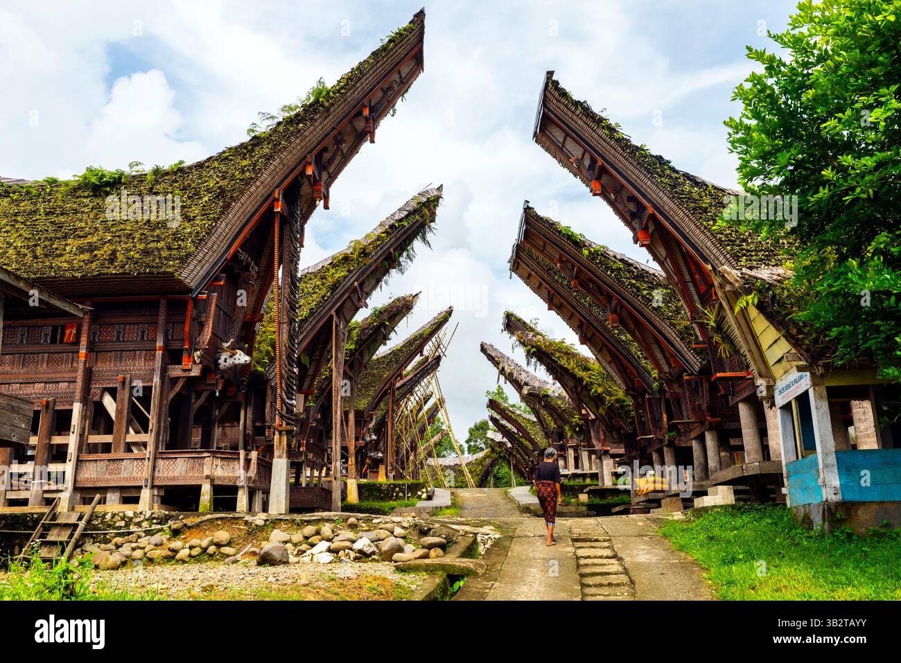Traditional Tongkonan houses with boat-shaped saddleback roof with ...