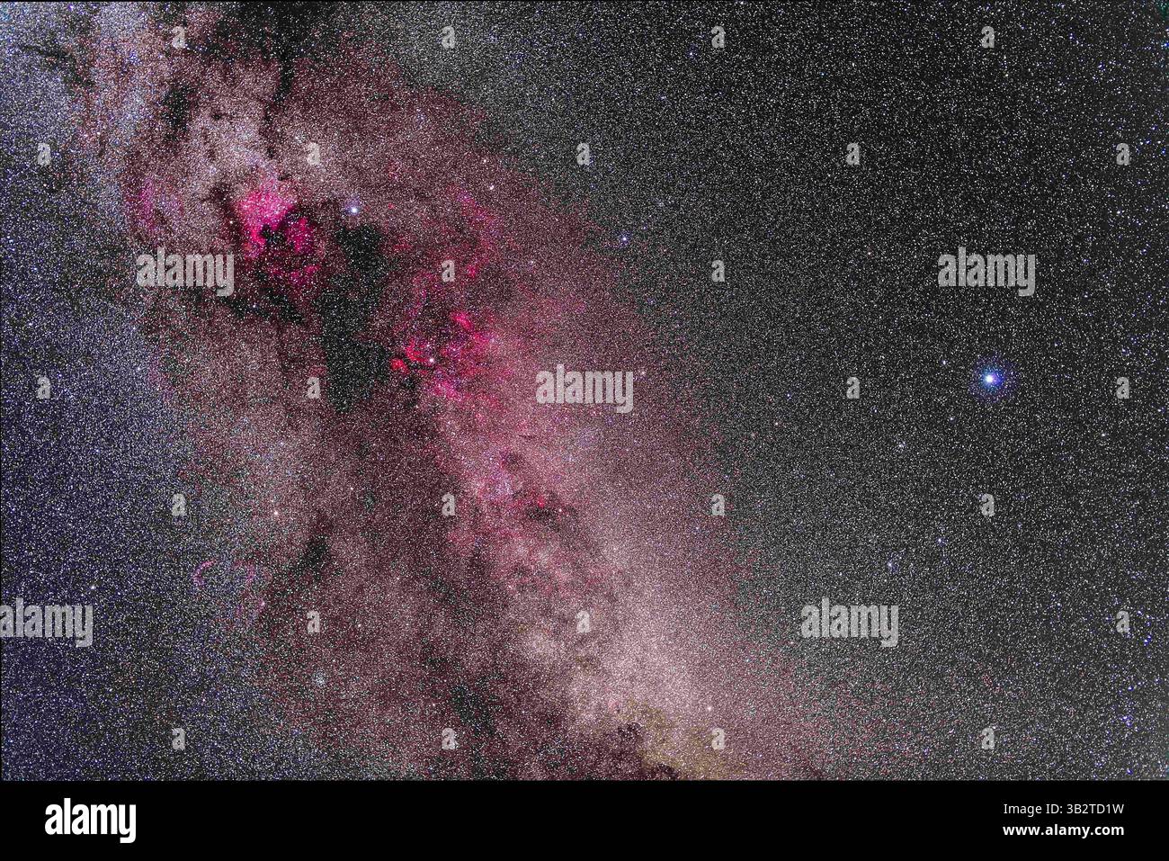 Cygnus starcloud hi-res stock photography and images - Alamy
