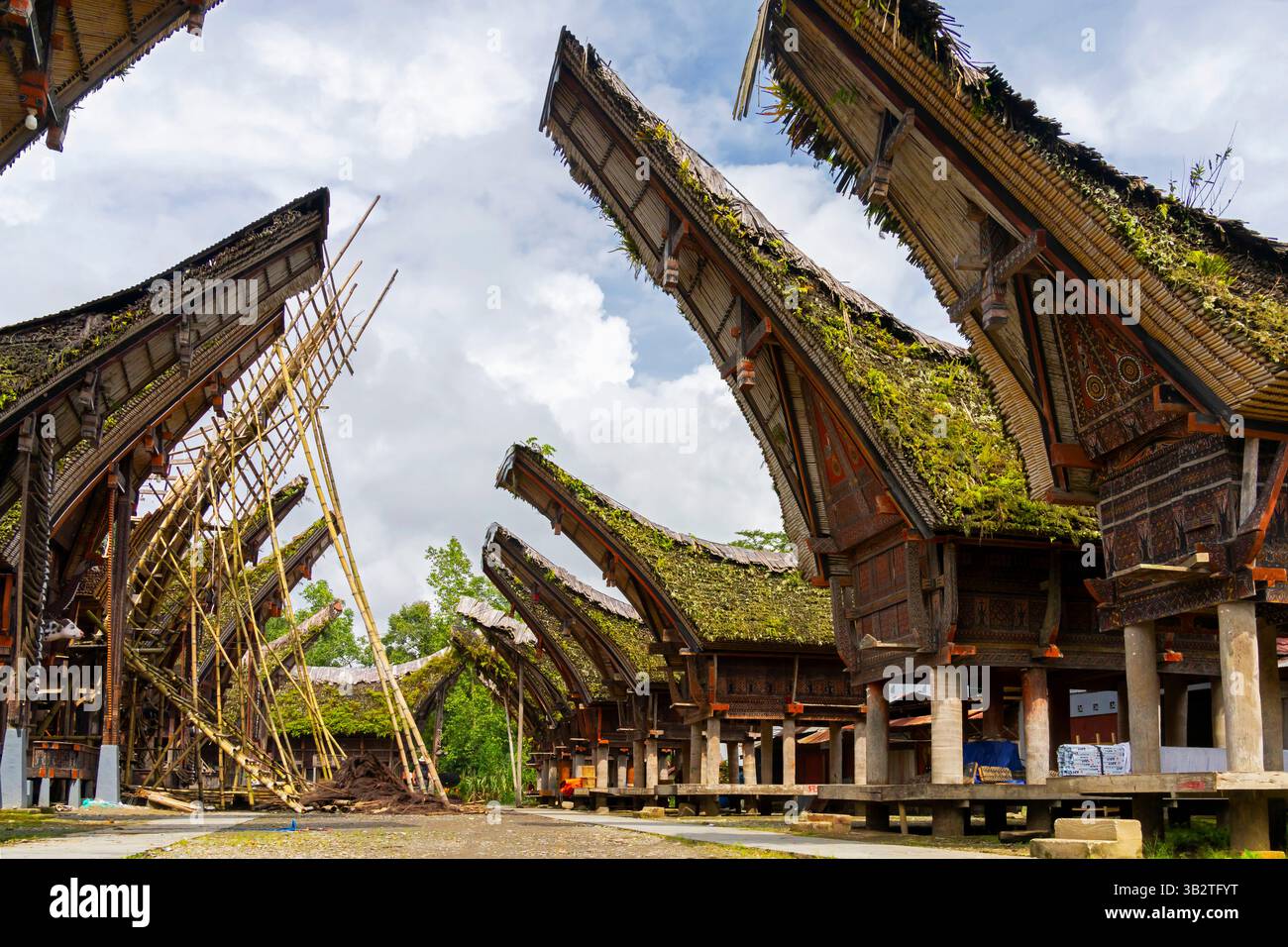 Traditional Tongkonan houses with boat-shaped saddleback roof with ...