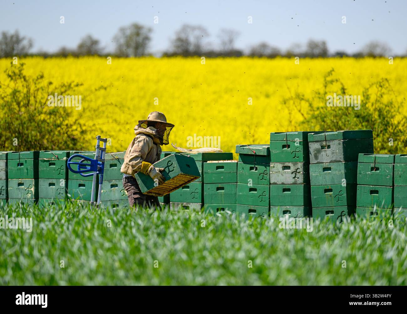 28 April 2025, Brandenburg, Döbberin: Lutz Theis, professional ...