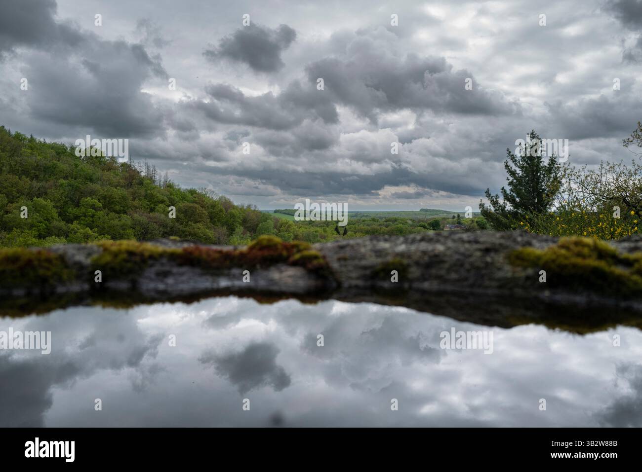 This photo shows the landscape of a french forest in the Morvan ...