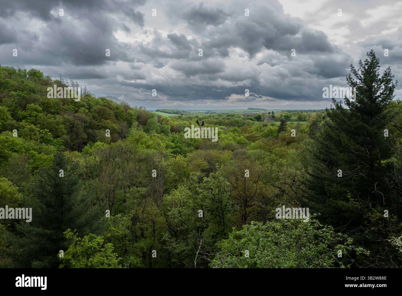 This photo shows the landscape of a french forest in the Morvan ...