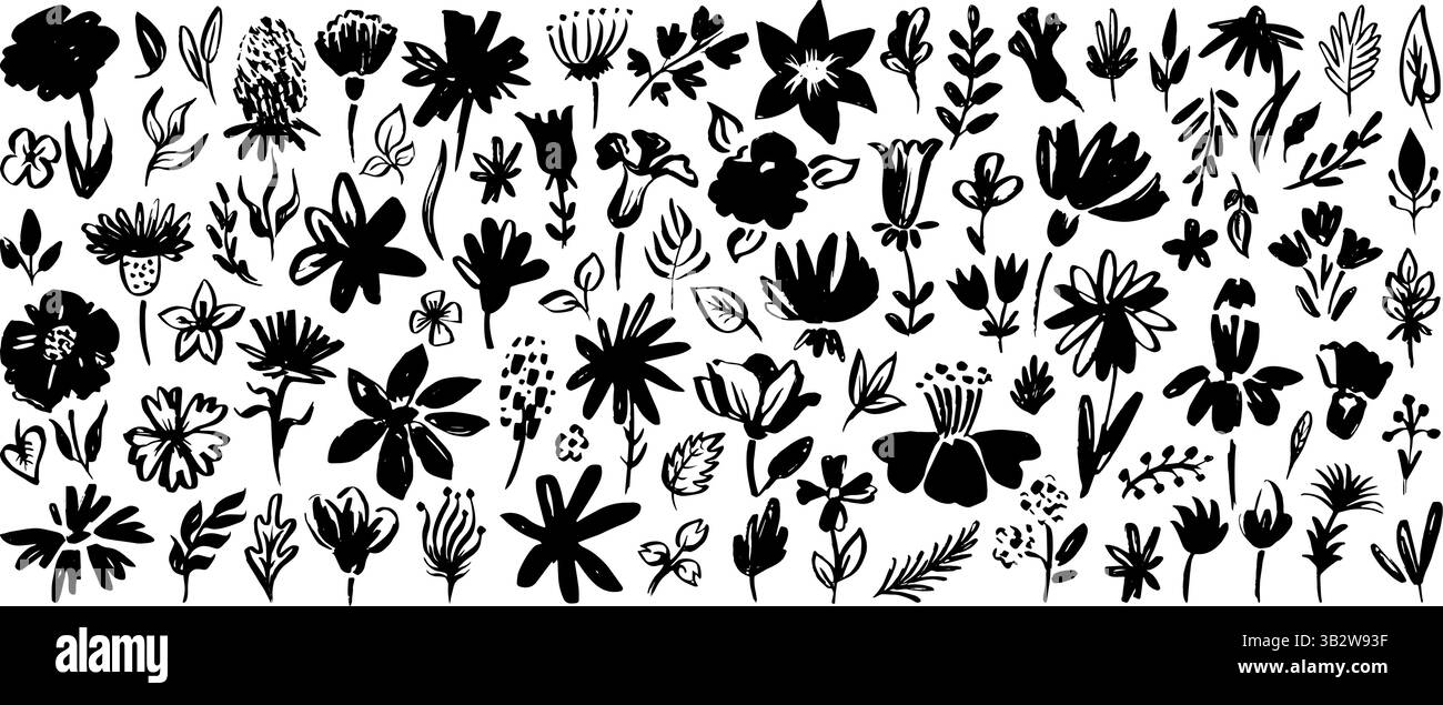Black ink plants. Paint brush drawing flowers, branches, leaves. Hand ...