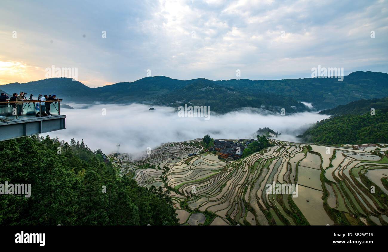 Congjiang. 28th Apr, 2025. Tourists take photos by the terraced fields ...