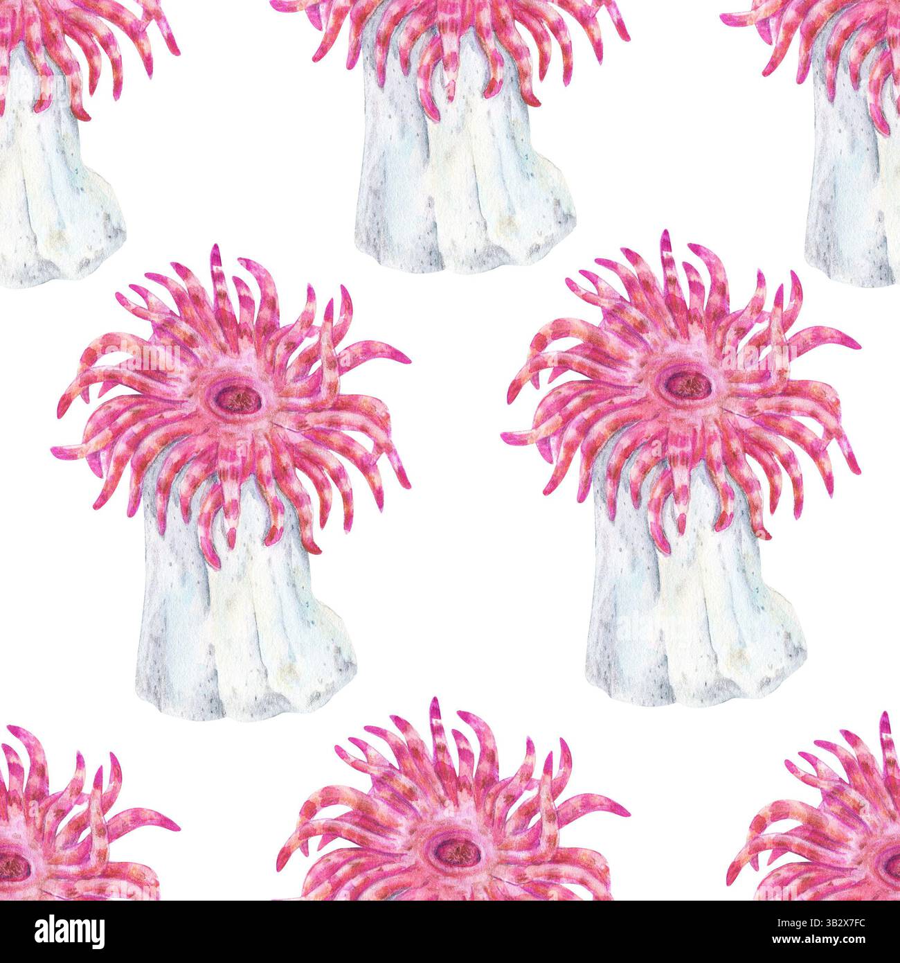 Watercolor seamless pattern with pink sea anemones from coral reefs ...