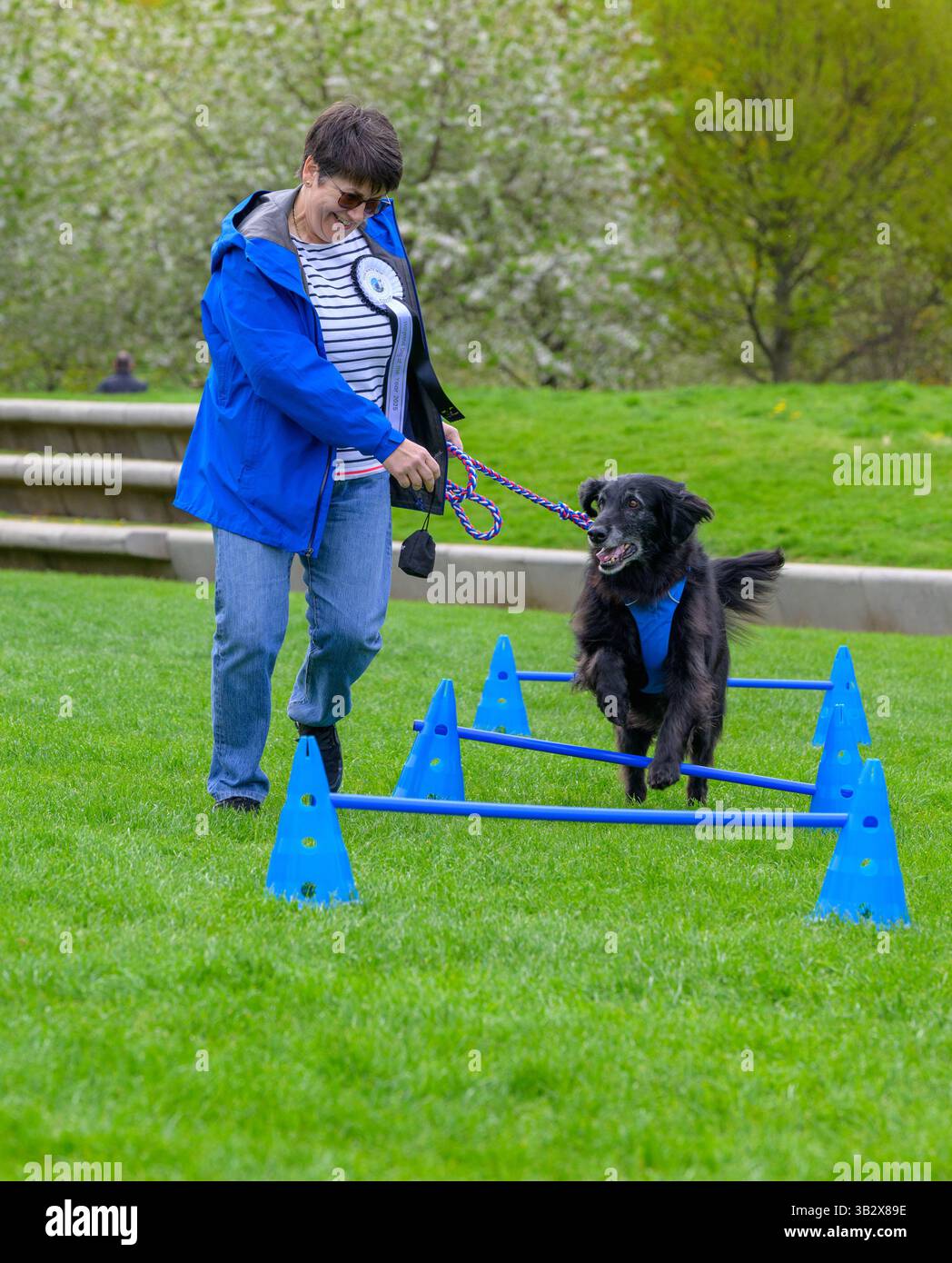 EDITORIAL USE ONLY Tess White MSP with her flat coated retriever, Kura ...