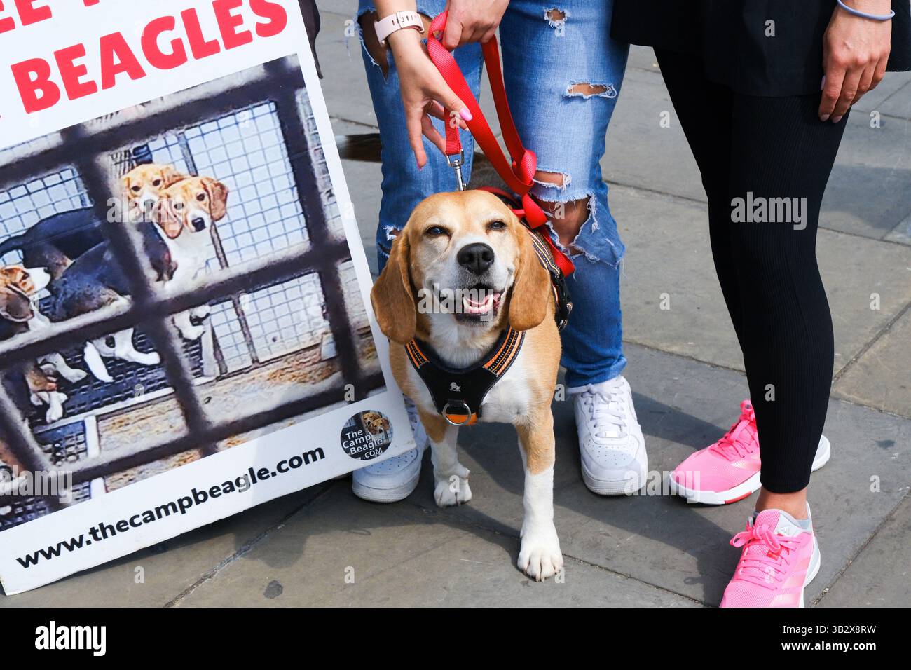 Parliament Square, London, UK. 28th Apr 2025. Protest against MBR Acres ...