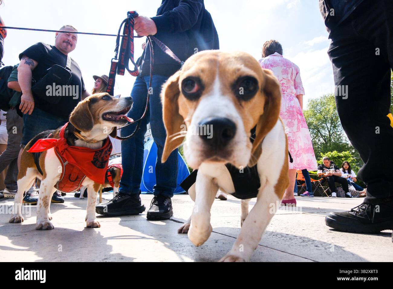 Parliament Square, London, UK. 28th Apr 2025. Protest against MBR Acres ...