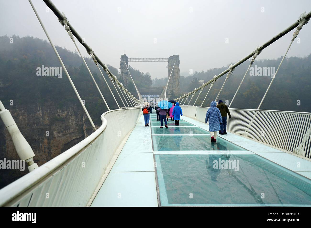 Avatar Grand Canyon Glass Bridge, Zhangjiajie, Hunan, China Stock Photo ...