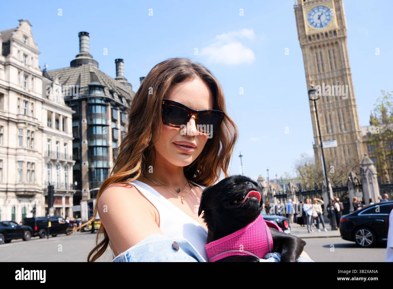 Parliament Square, London, UK. 28th Apr 2025. Protest against MBR Acres ...