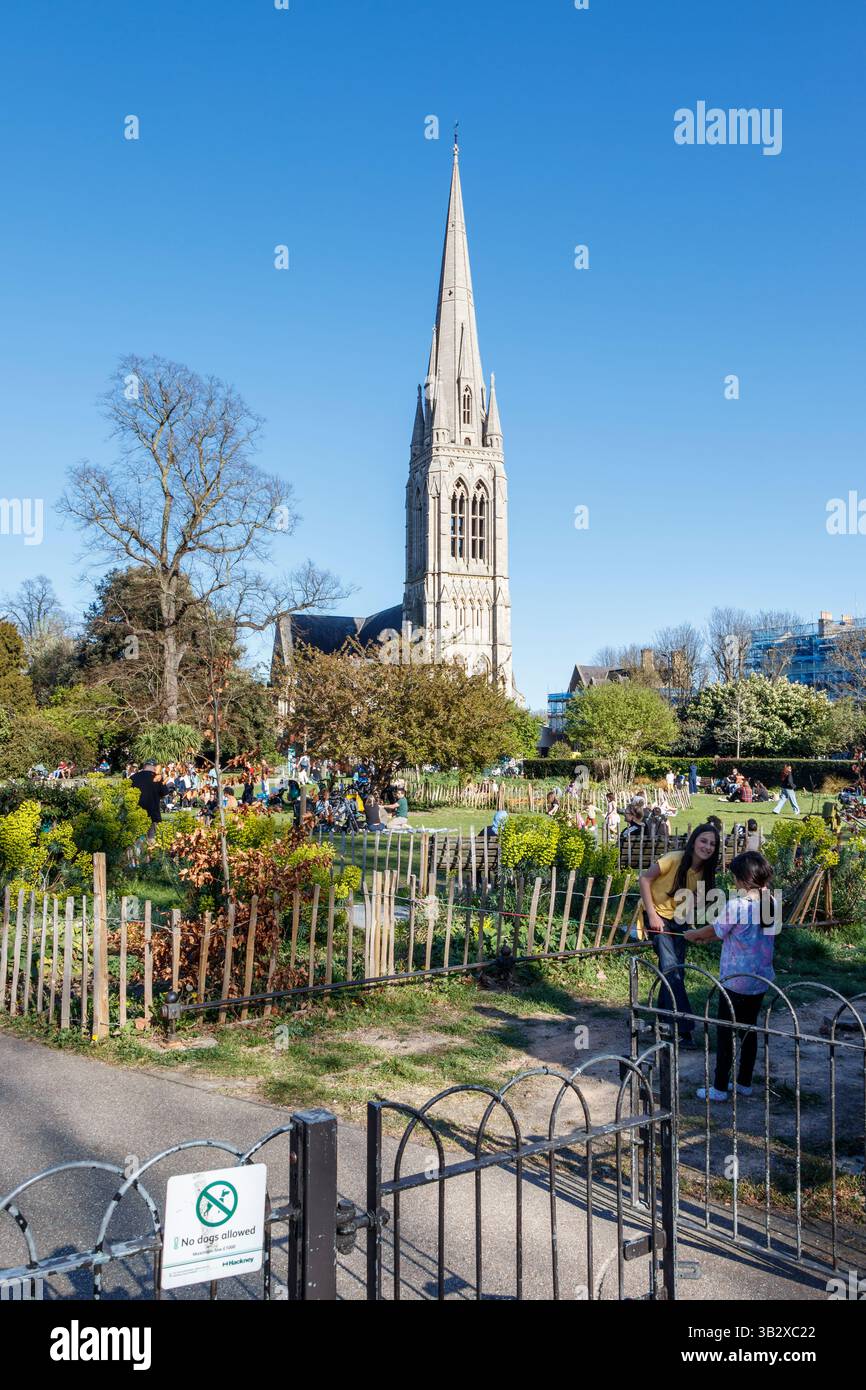 The tower and spire of St. Mary's Church in Stoke Newington seen across Clissold Park, Hackney ...