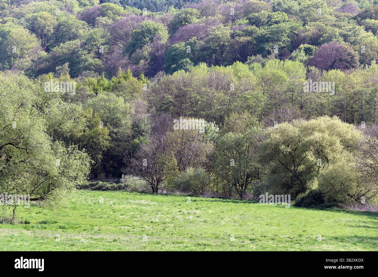 Naturschutzgebiete in Deutschland Die Ruhr fließt parallel zu dem ...