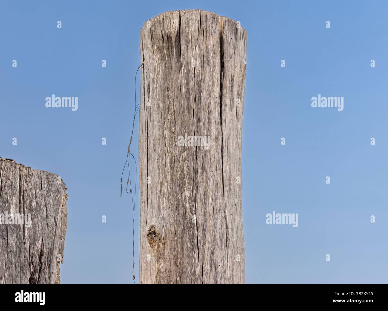 fishing line and hooks stuck on a piling Stock Photo - Alamy