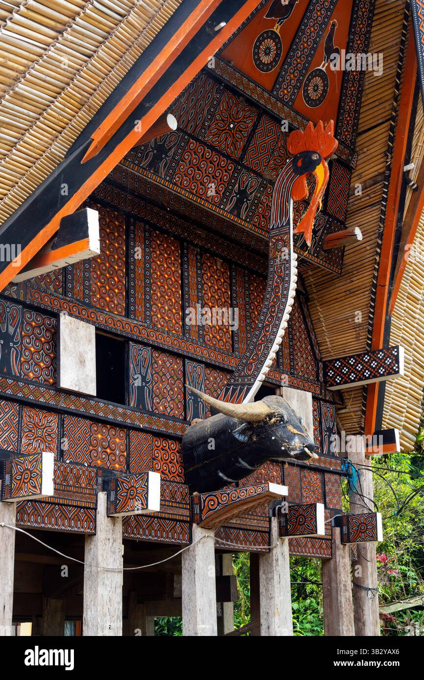 Wooden buffalo head & Katik roosteron Toraja House. The panel displays ...